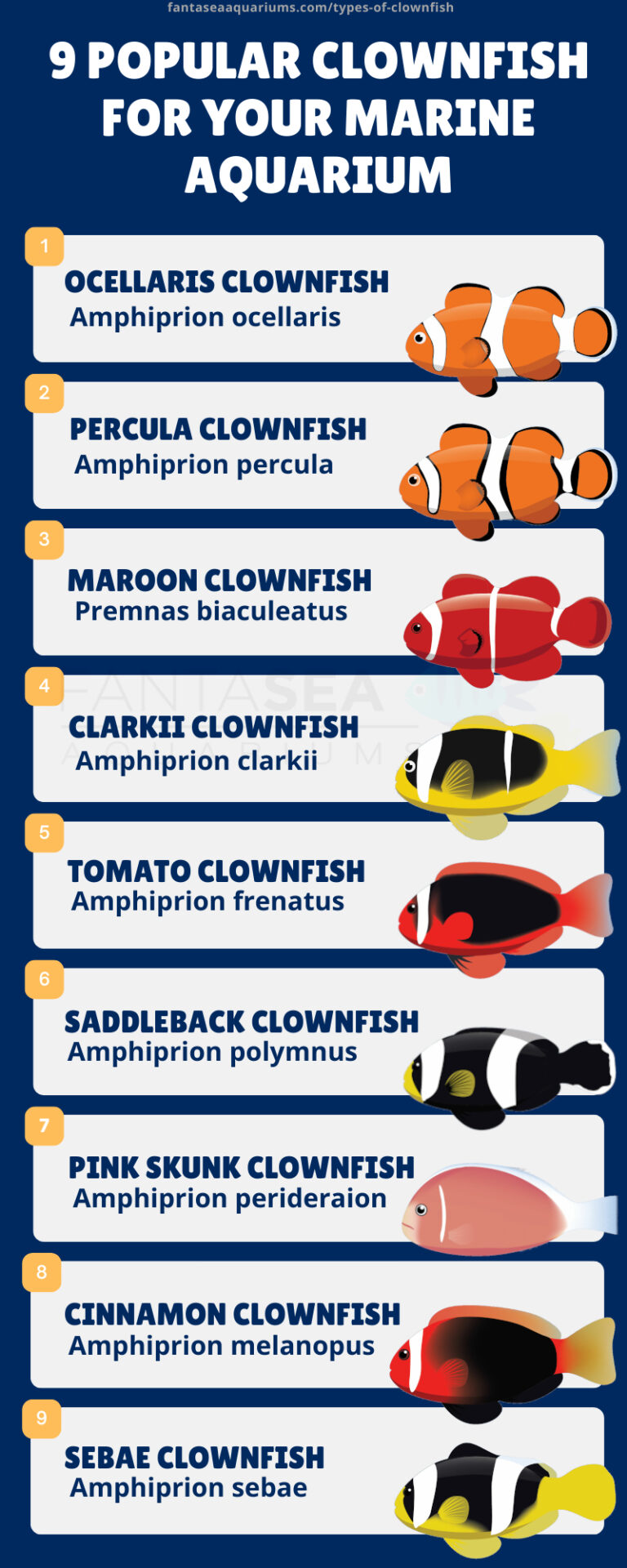 9 Popular Types of Clownfish For Your Reef Tank - Maryland Aquarium ...