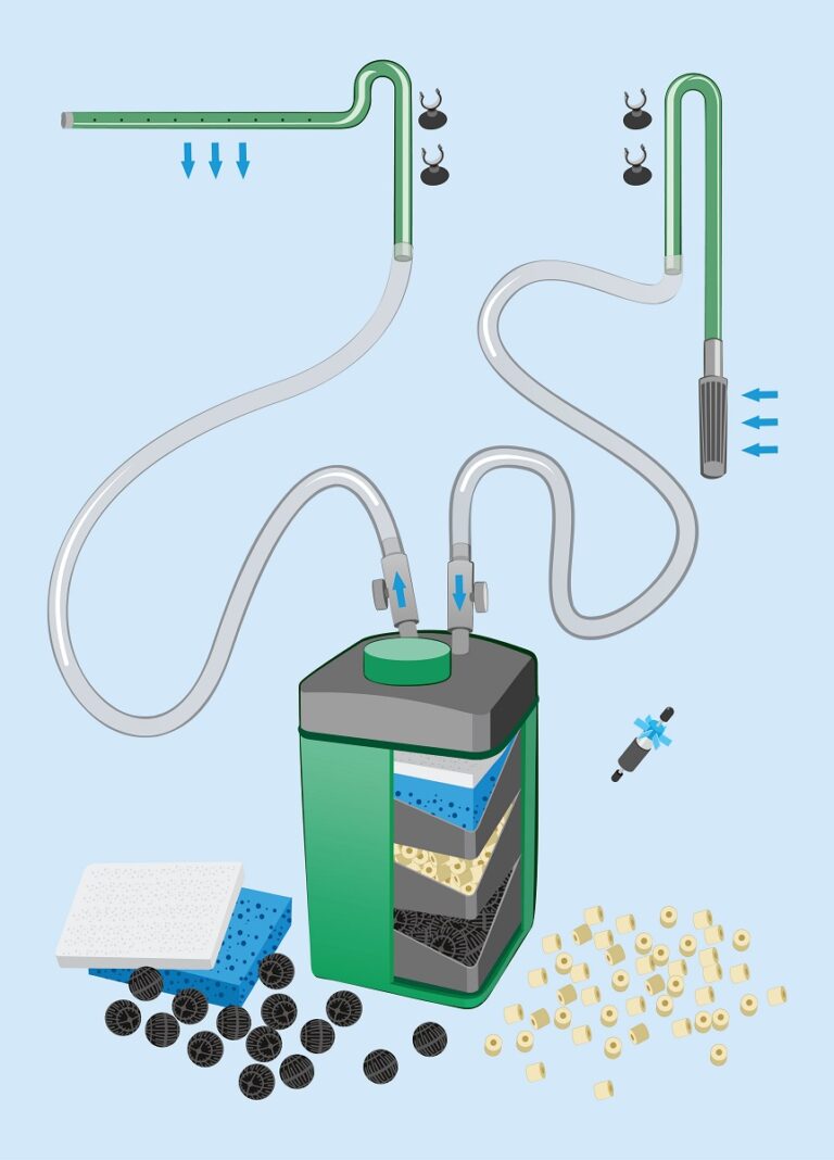 Aquarium Filter Media Types: Mechanical, Biological & Chemical ...